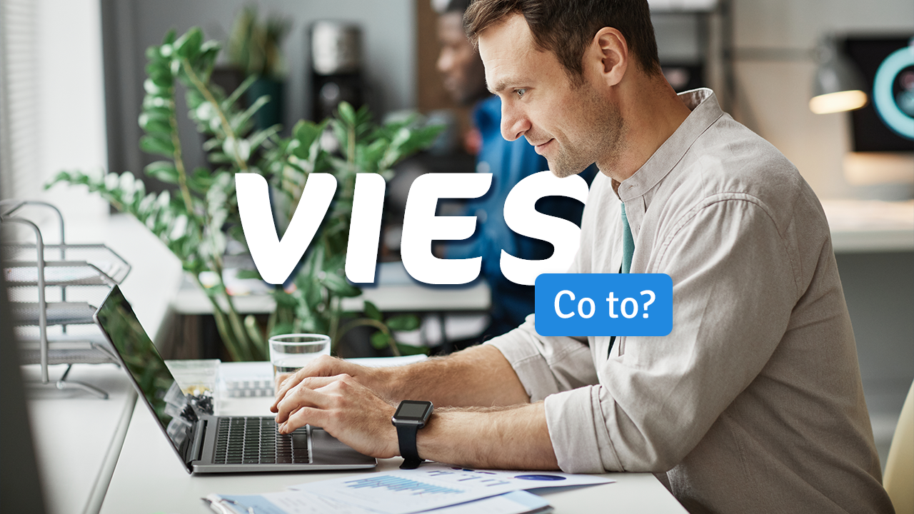 System VIES — czym jest i do czego służy? - blog inFakt